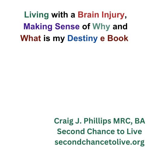 Living with a Brain Injury, Making Sense of Why and What is my Destiny ...